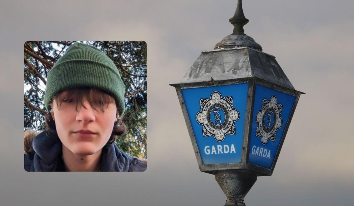 Search for missing boy, 16, stood down as gardai issue update - Tipperary Live