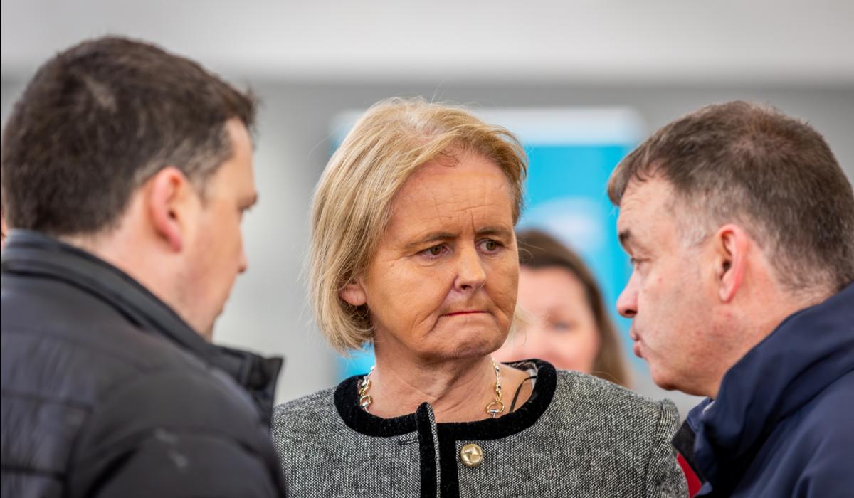 Heartbreak as Fianna Fáil's Goldsboro pipped for the final seat in Tipperary South - Tipperary Live