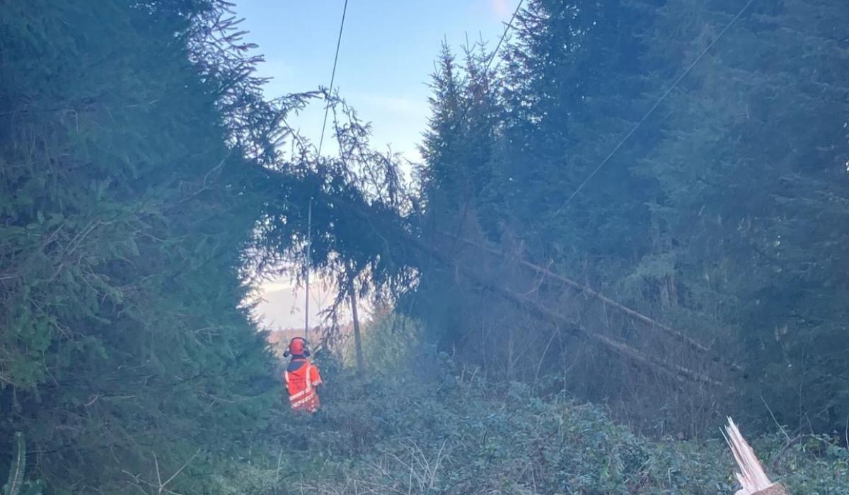 ESB Networks restore power to 340,000 customers impacted by Storm ...