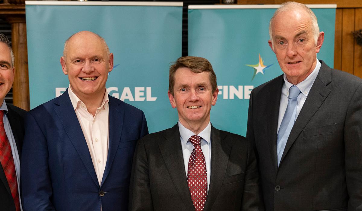 Fine Gael vacancy on Tipperary County Council to be filled by Tom ...
