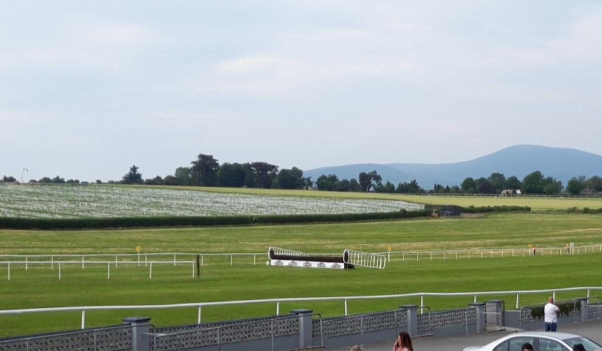 New date announced for horse racing meeting in Clonmel - Tipperary Live