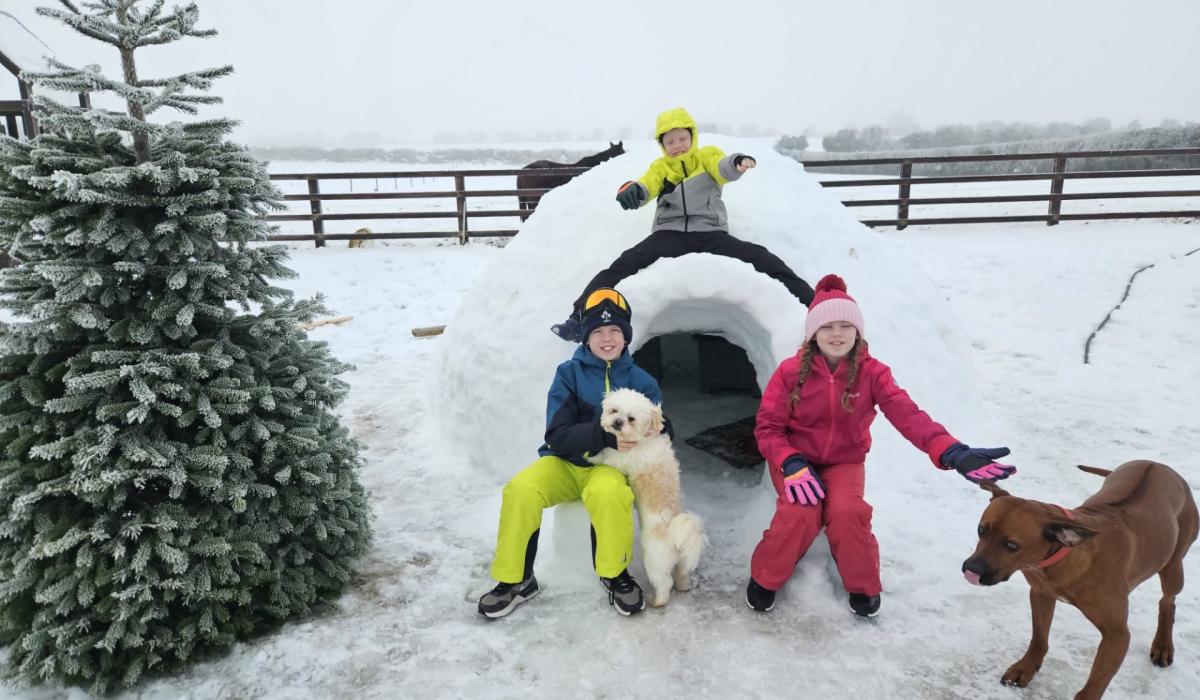PICTURE: Tipperary kids make incredible igloo with the help of Ruby and ...