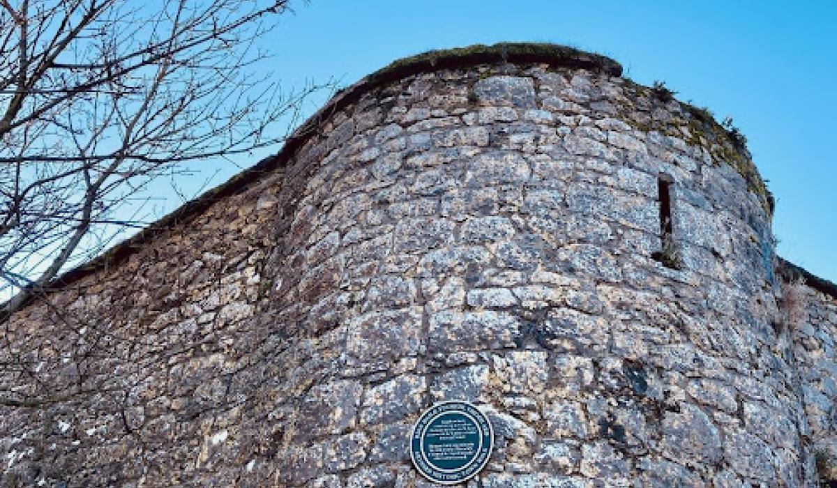 Appeal made to safeguard important site in Tipperary heritage town ...