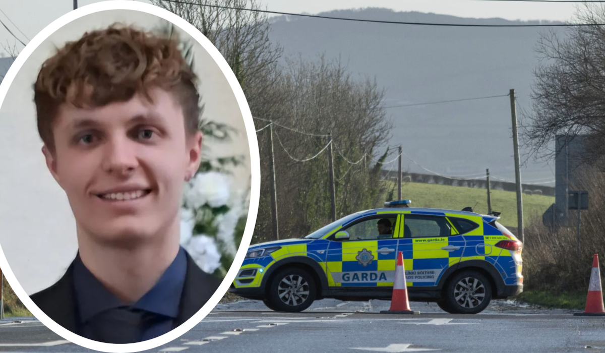 Man killed by falling tree in horror crash named as 20-year-old Kacper Dudek - Tipperary Live