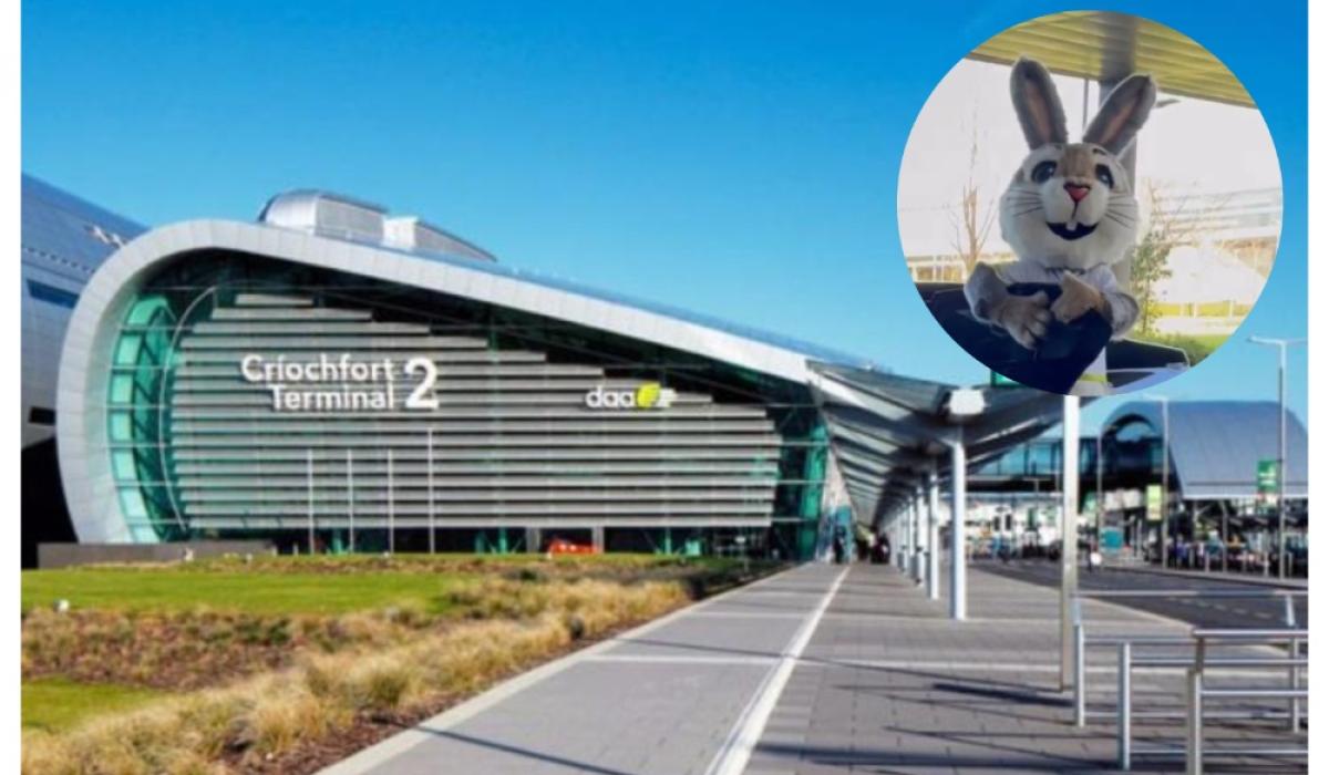 Ah hare! Dublin Airport unveils new furry mascot with public called upon for names - Tipperary Live