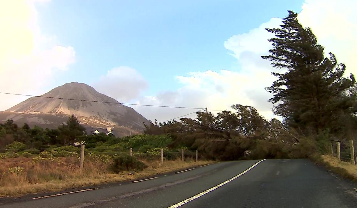 RTÉ set to release new documentary on impact of Storm Éowyn - Tipperary ...
