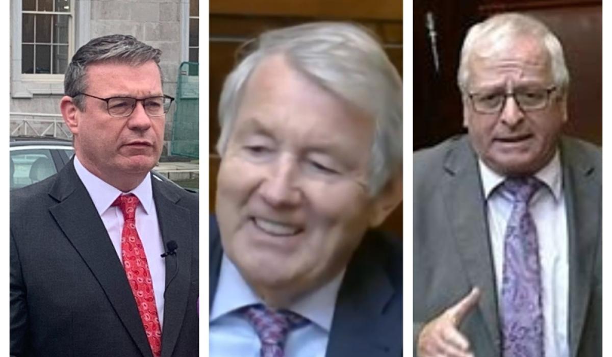 Tipperary TDs get over €4,000 each in expenses for month in which Dáil ...