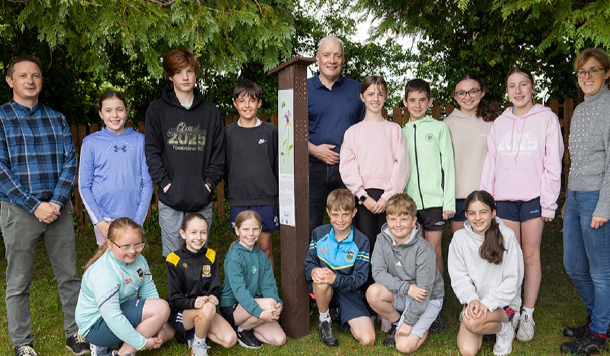 ‘Honey for the Soul’ project in Tipperary highlights the value of pollinators - Tipperary Live