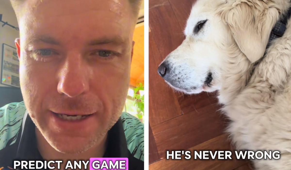 HILARIOUS! Good news for Tipperary as Johnny B's personal oracle ...