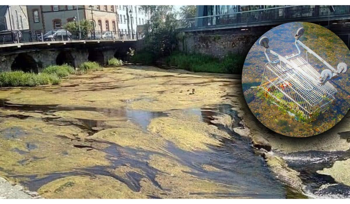 ‘Embarrassing and disgraceful’ - Tipperary river overrun with rubbish ...