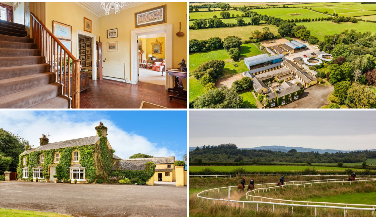 Well-known horse trainer’s home and race track goes up for millions in ...