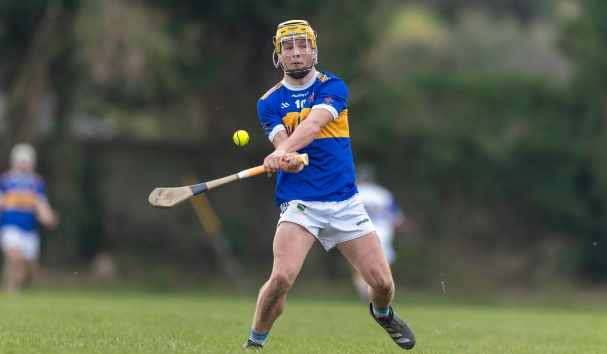 HARTY CUP: Ryan runs riot for Thurles CBS in a demolition of Waterford ...