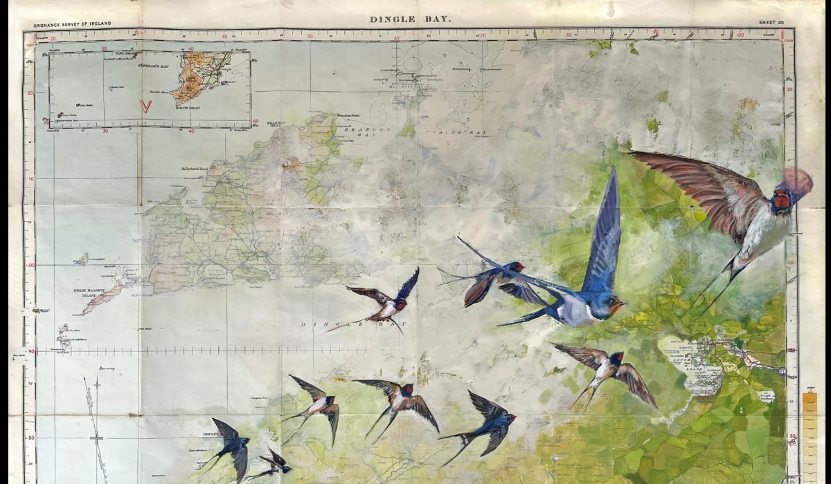 New contemporary art space is about to be launched in Tipperary ...