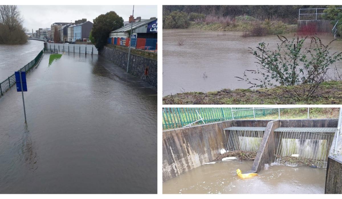 REVEALED: Aftermath of flood scenes in south Tipperary as River Suir ...
