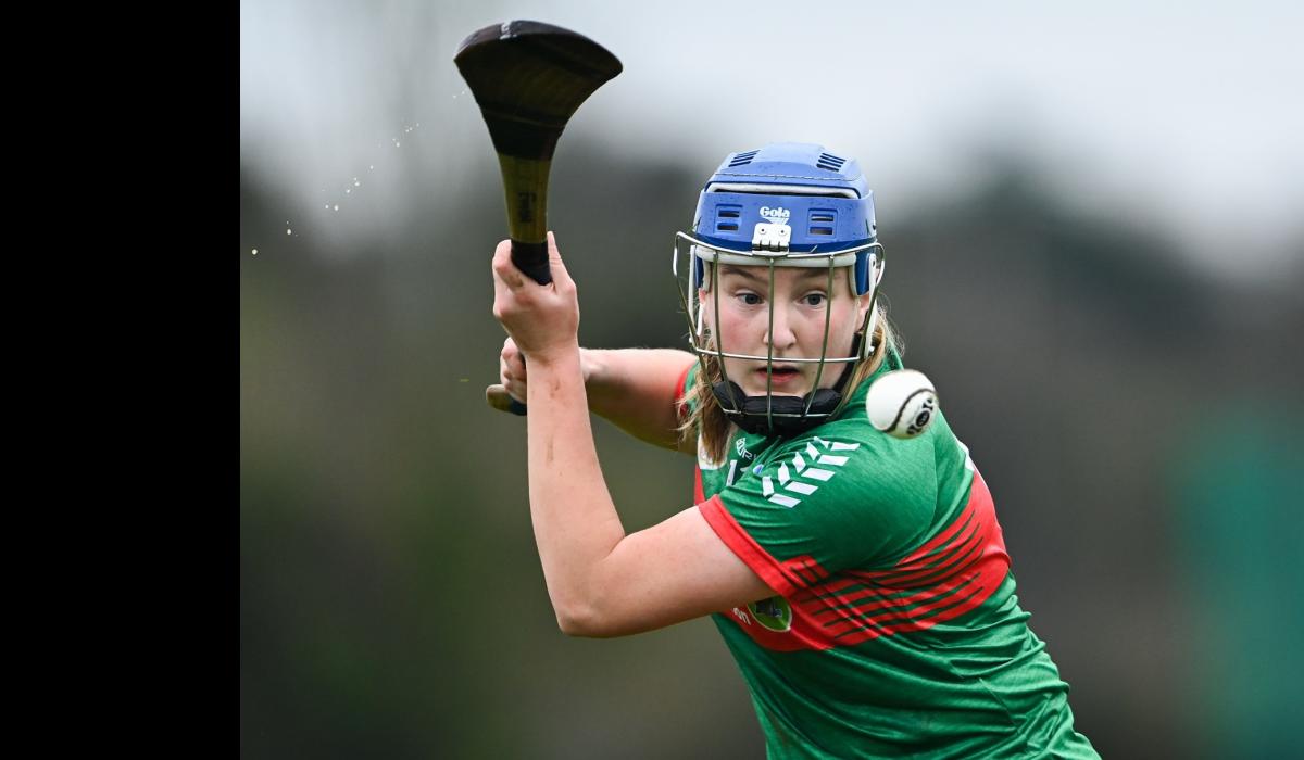 Drom & Inch dethroned by Sarsfields in high quality Munster camogie ...