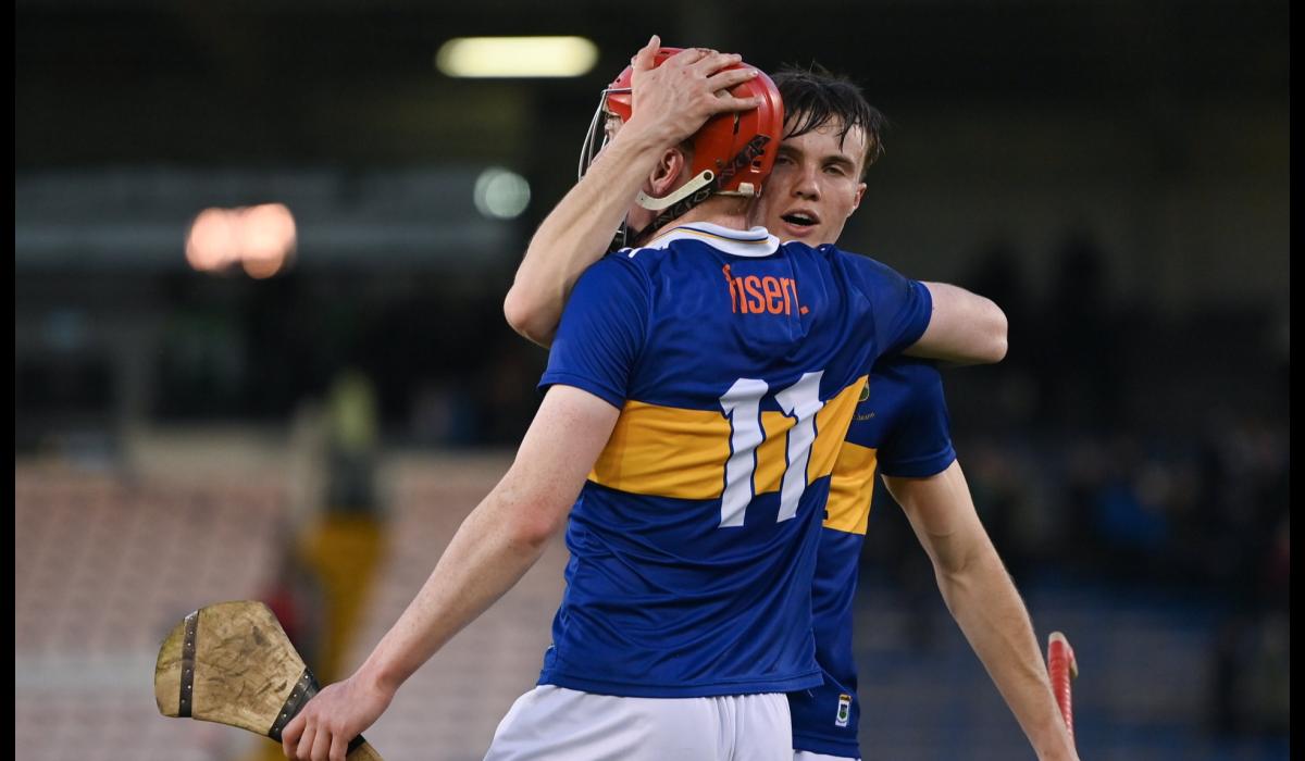 Tipp U20 hurling team announced for semi-final clash with Rebels ...