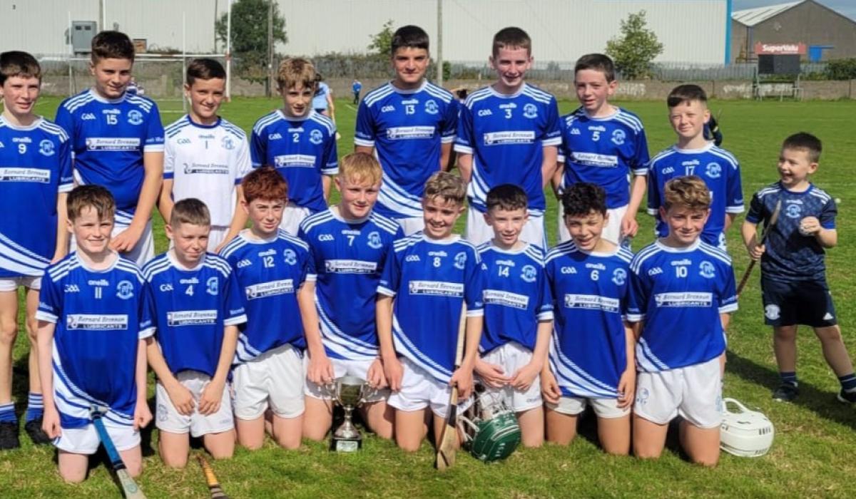 Double delight at Davin Park as St Mary's U13 hurlers pick up two South ...