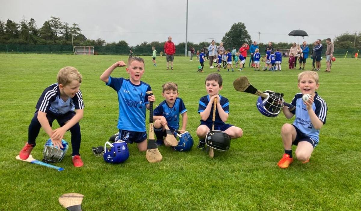 Summer fun: Tipperary GAA club all set to hold its annual summer camp ...