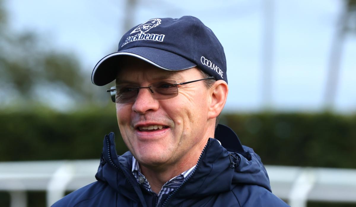 Tipperary racing trainers in the hunt for over €500,000 in prize money ...