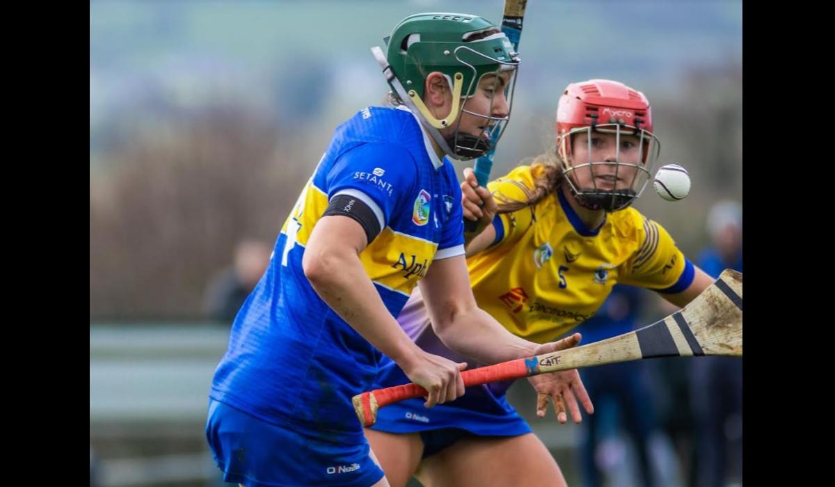 CAMOGIE: Tipperary have real chance of Munster final showdown ahead of ...