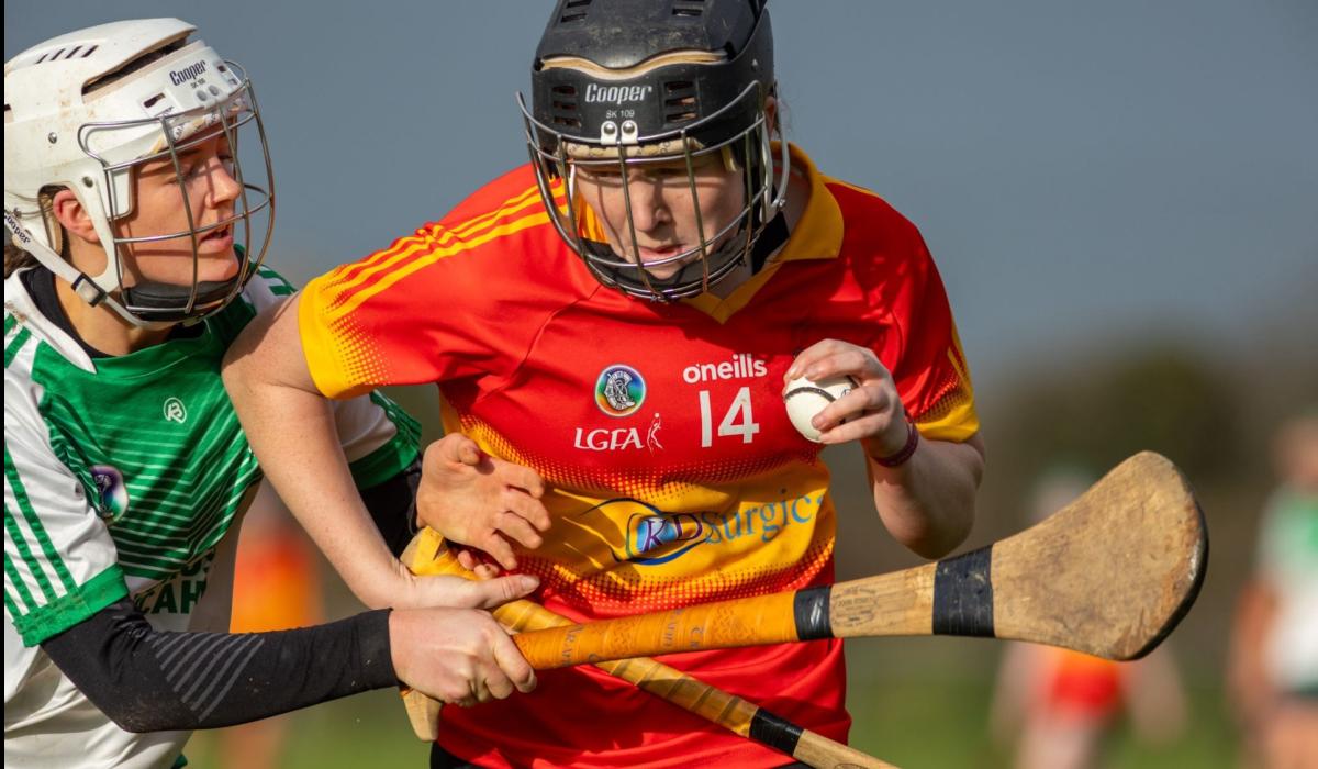 Camogie feast this weekend as the title deciding games come into focus ...
