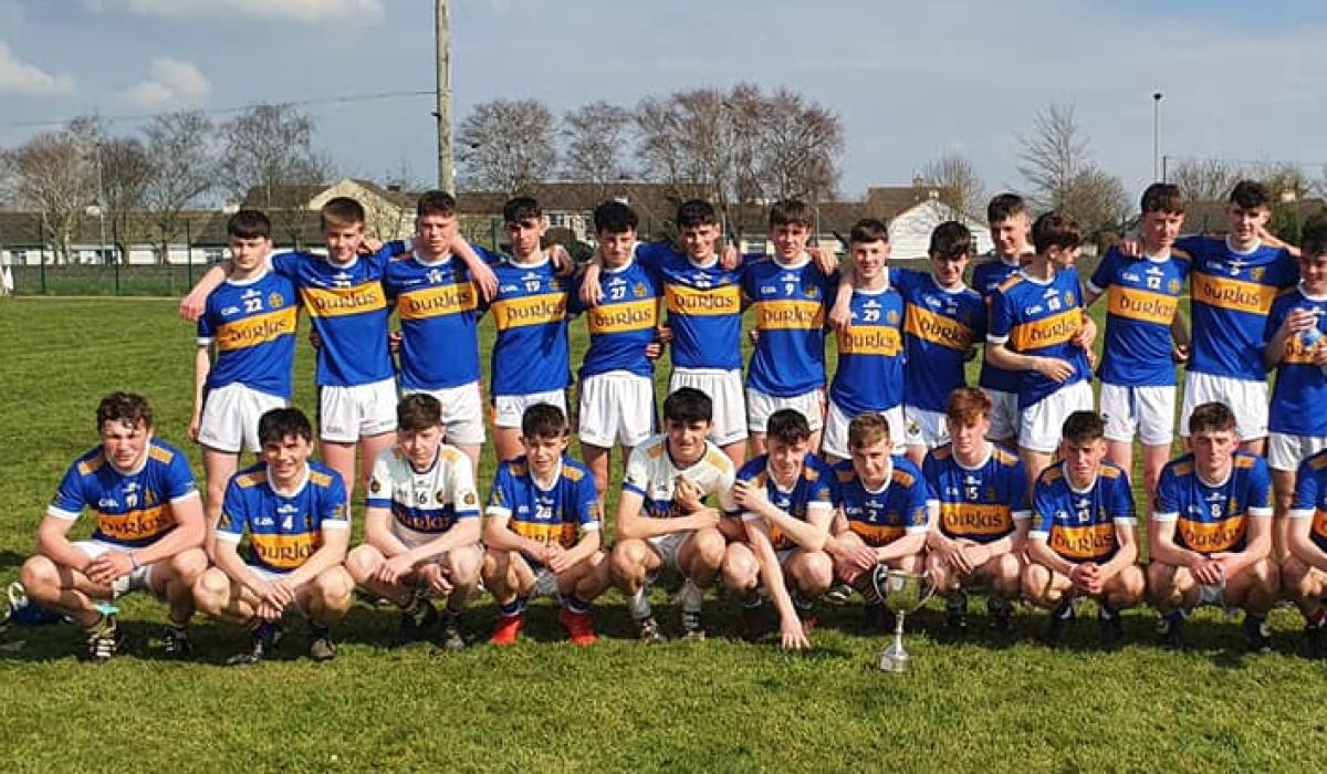 CBS Thurles defeat Killenaule to win second Fitzgerald Cup - Tipperary Live