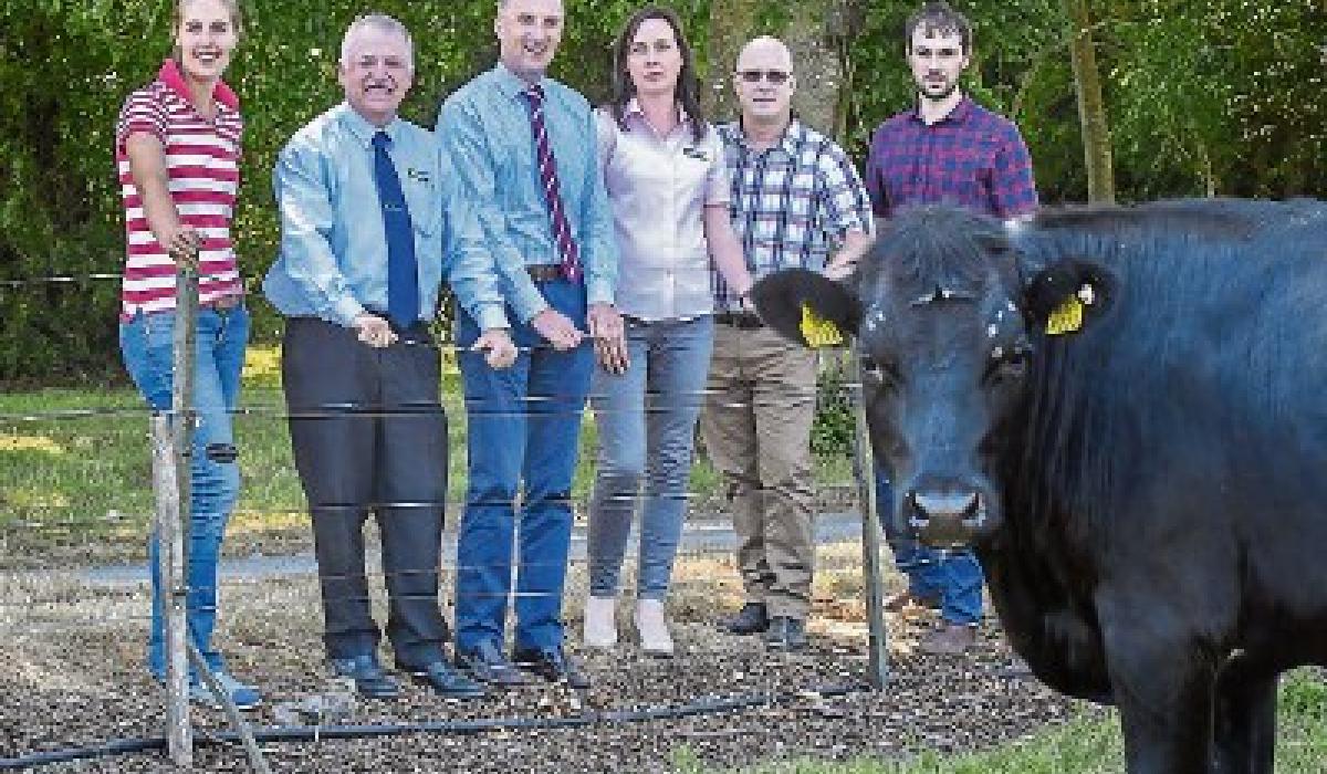 Teagasc announces 10 Dairy Start-Up Courses - Tipperary Live