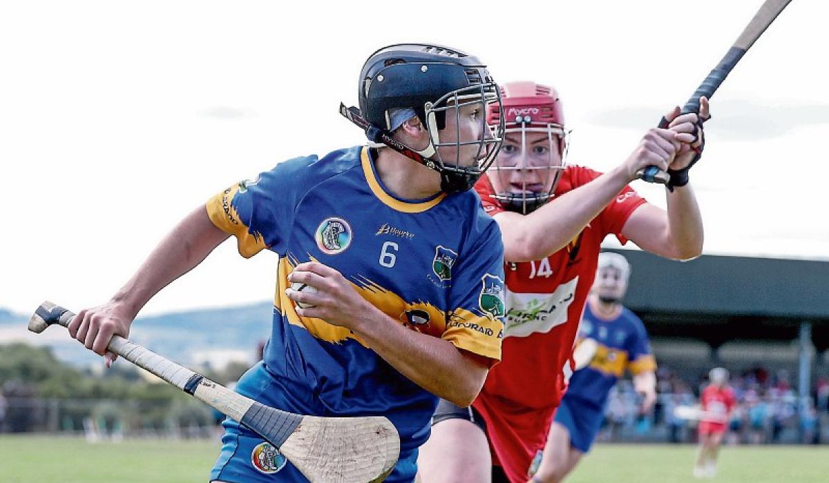Preview: Tipp camogie ladies face Offaly on Sunday in All-Ireland ...