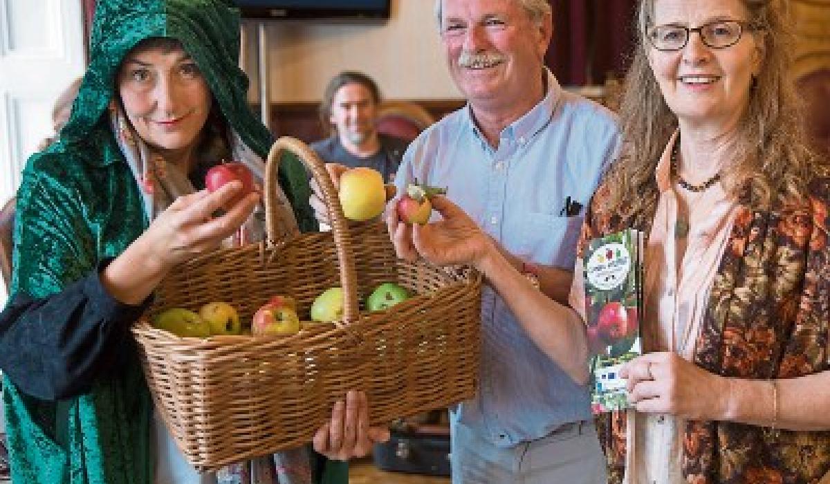 Reopening of Bulmers' Dowd's Lane site a highlight of Clonmel's new ...