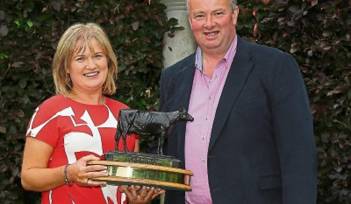 Tipperary farmer honoured as top milk supplier of the year - Tipperary Live