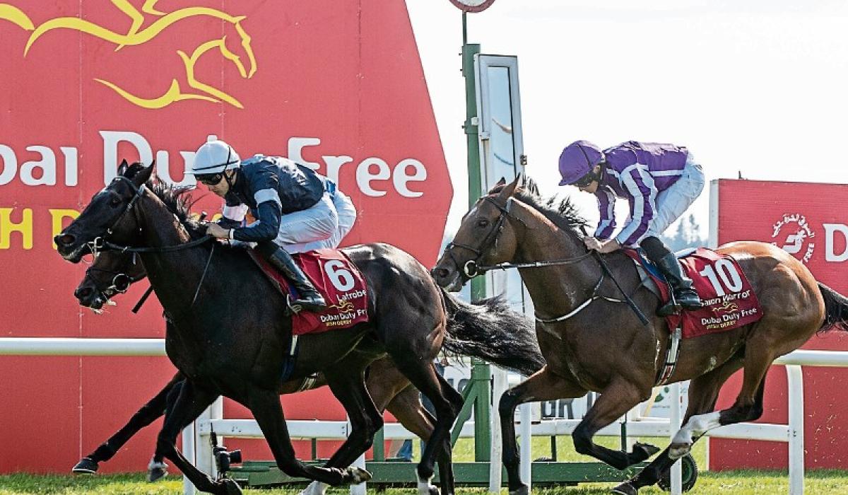 Family fun on the cards at Tipperary Racecourse - Tipperary Live