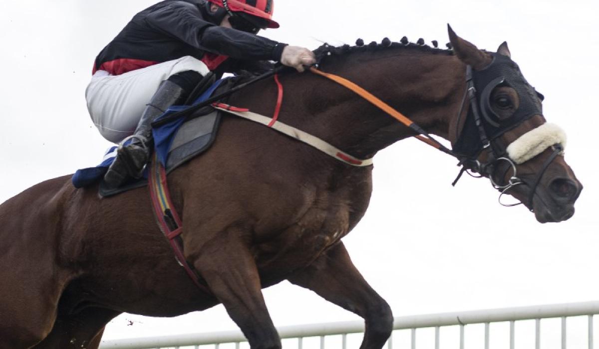 Revealed: Planning lodged for an all-weather horse racetrack in ...