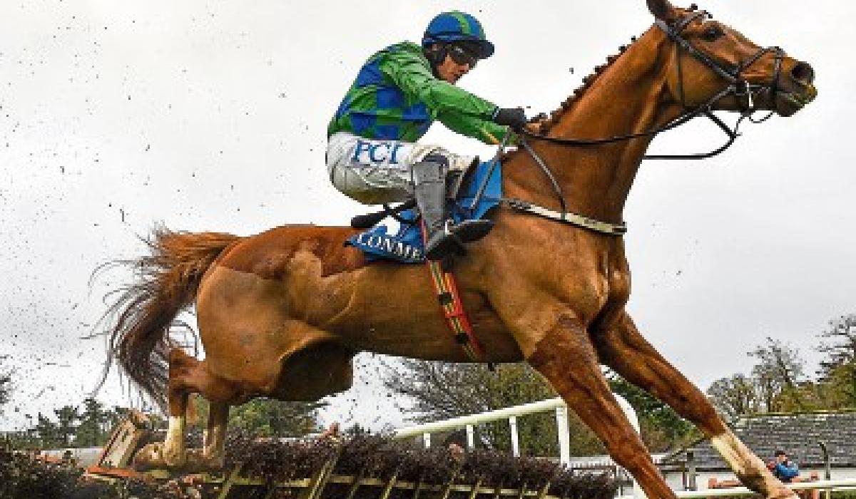 Horse racing in Clonmel rescheduled for next month - Tipperary Live