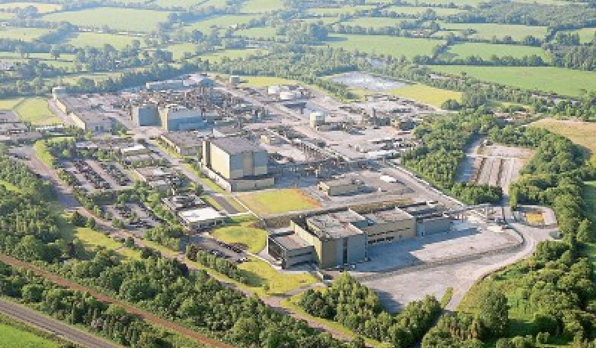 Pharmaceutical giant MSD seeks planning approval for further expansion ...