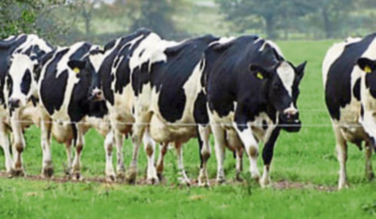 Tipperary farming: Glanbia announces September milk price - Tipperary Live