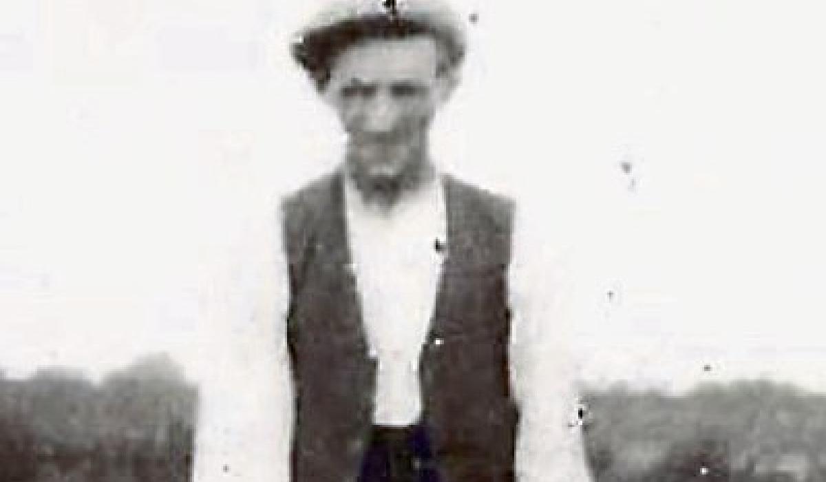 Toomevara author backs Harry Gleeson campaign - Tipperary Live