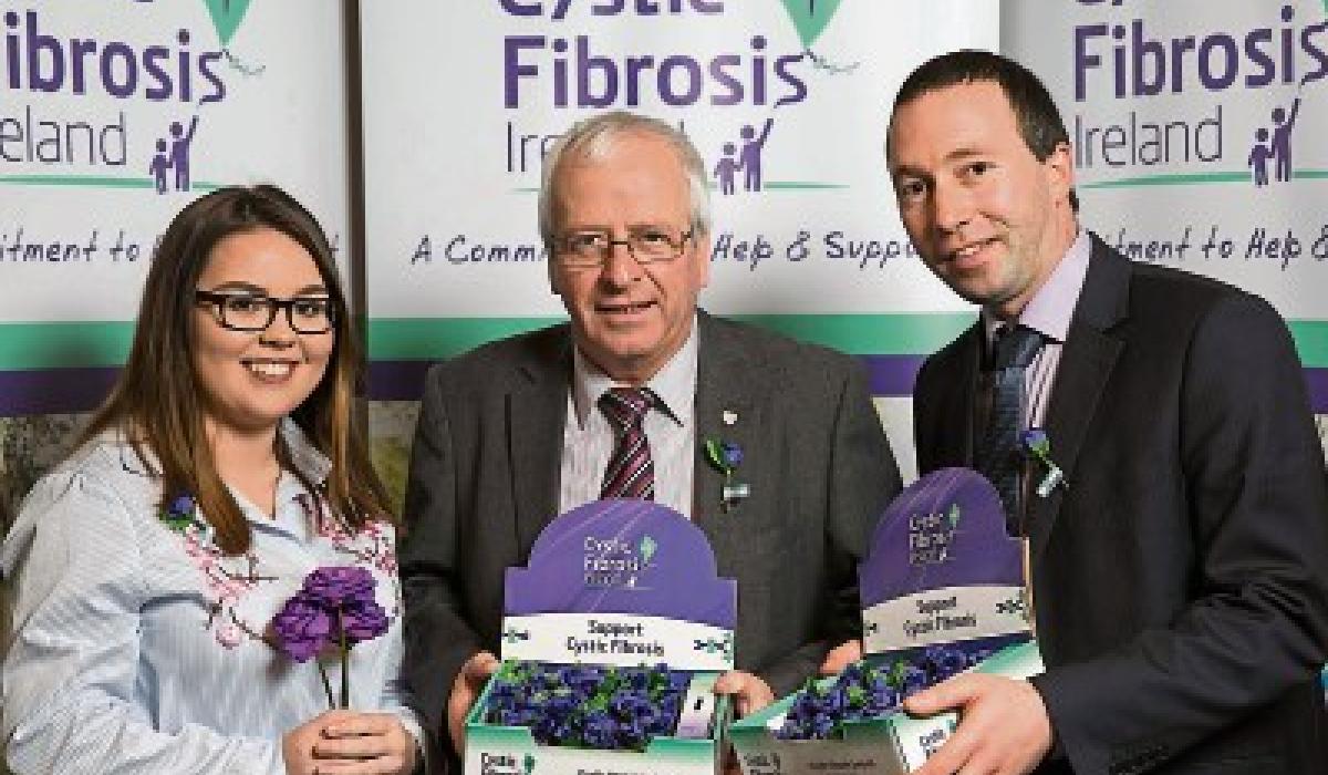Help turn Tipperary purple for Cystic Fibrosis Ireland on 65 Roses Day ...