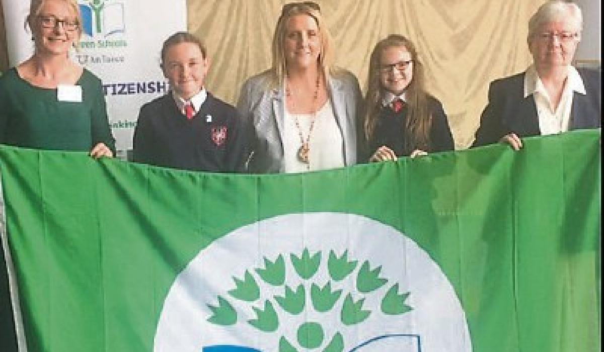 Carrick on Suir School earns its 6th Green Flag award - Tipperary Live