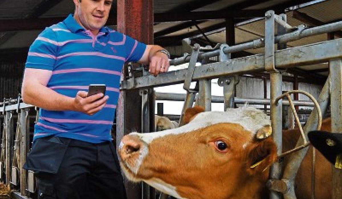 Tipperary farmer Brian Reidy keeps on top of paperwork with Herdwatch ...