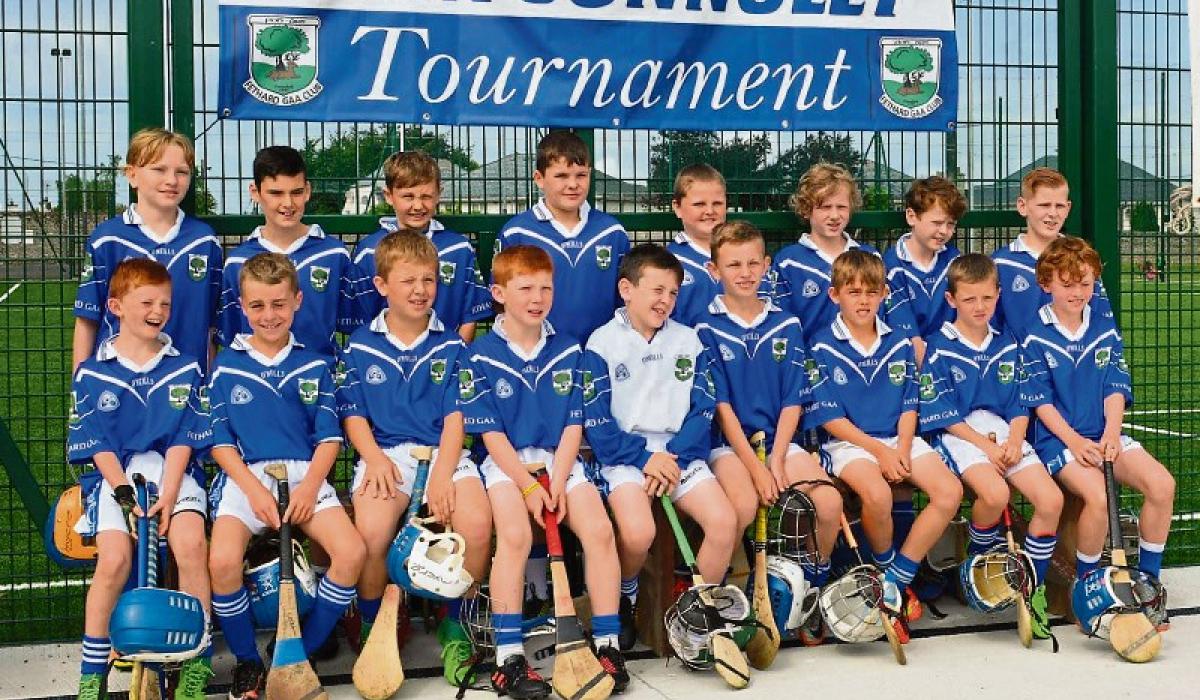 Focus on Fethard GAA Club - a proud club still topping Tipperary's roll ...