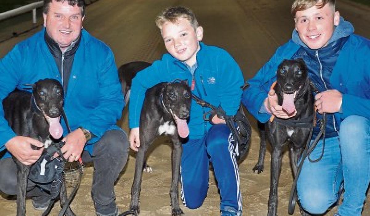 BoyleSports Irish Greyhound Derby: Tipperary trained greyhounds eyeing ...