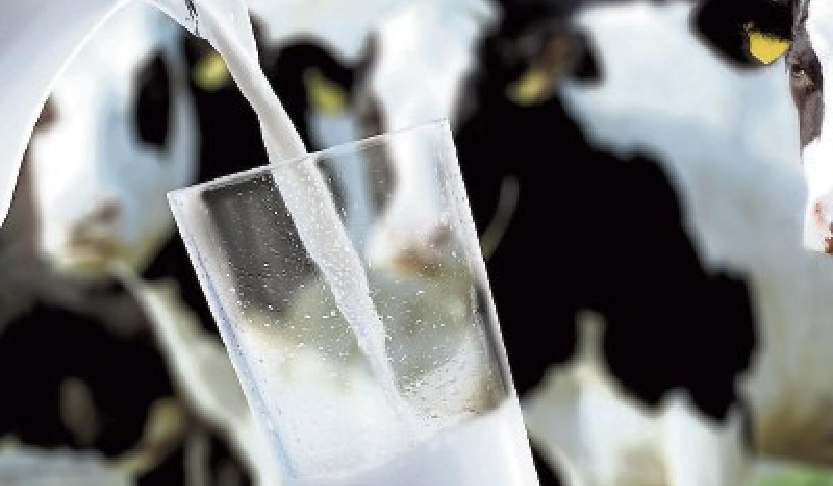 Tipperary farming: dairy summit told Europe and US are leading milk ...