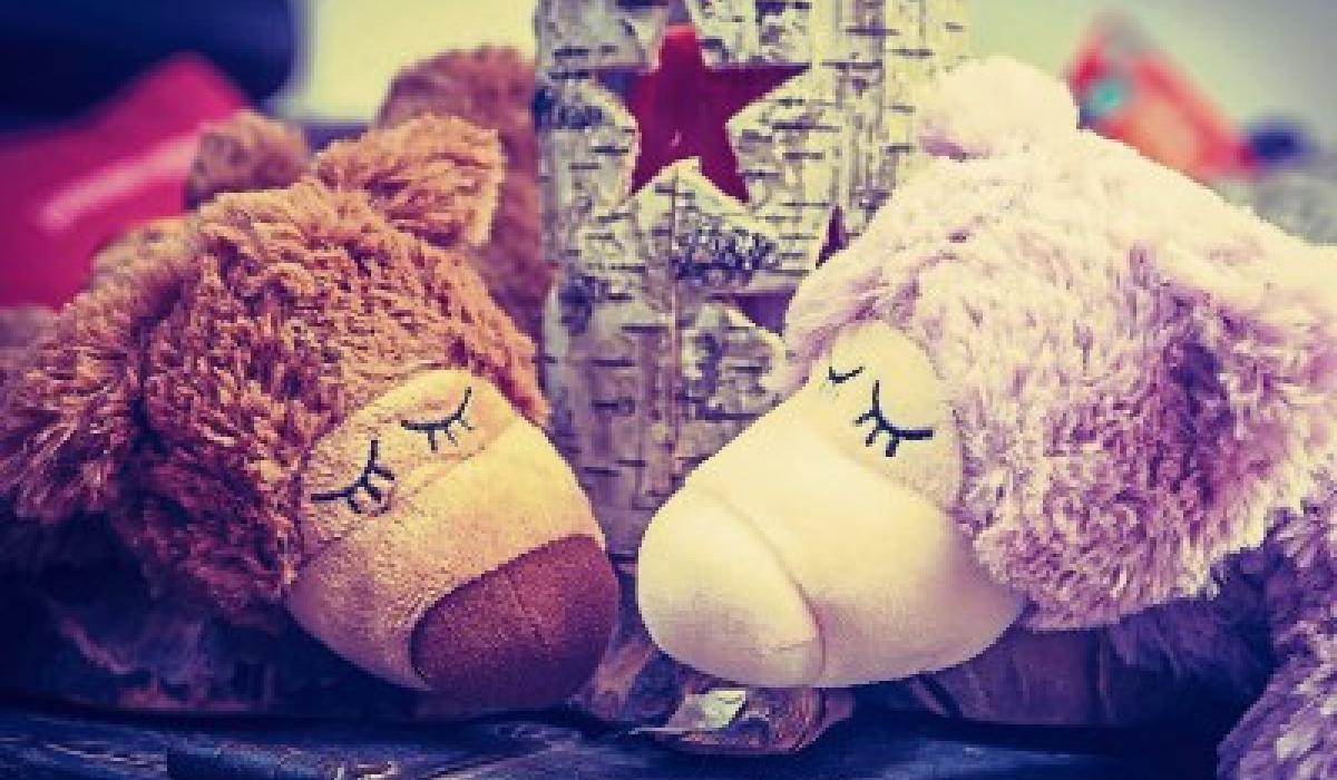 Teddy Bears' sleepover party in Cashel! - Tipperary Live