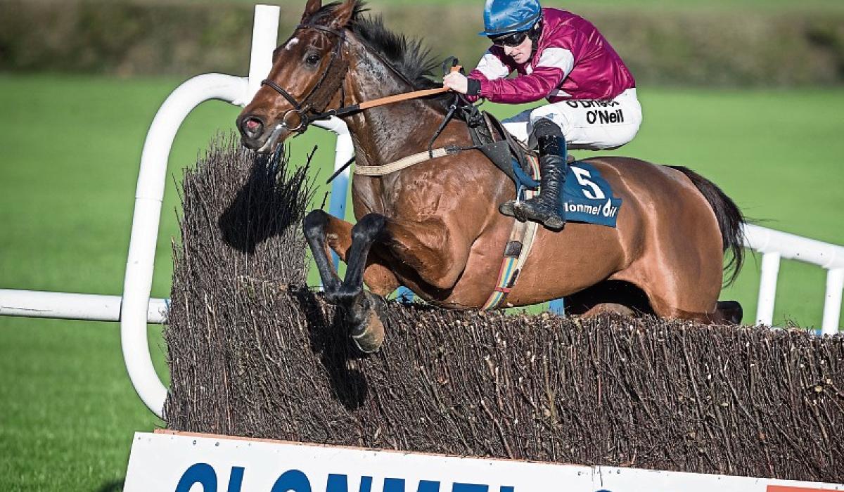 Racing tips from Clonmel today - Tipperary Live