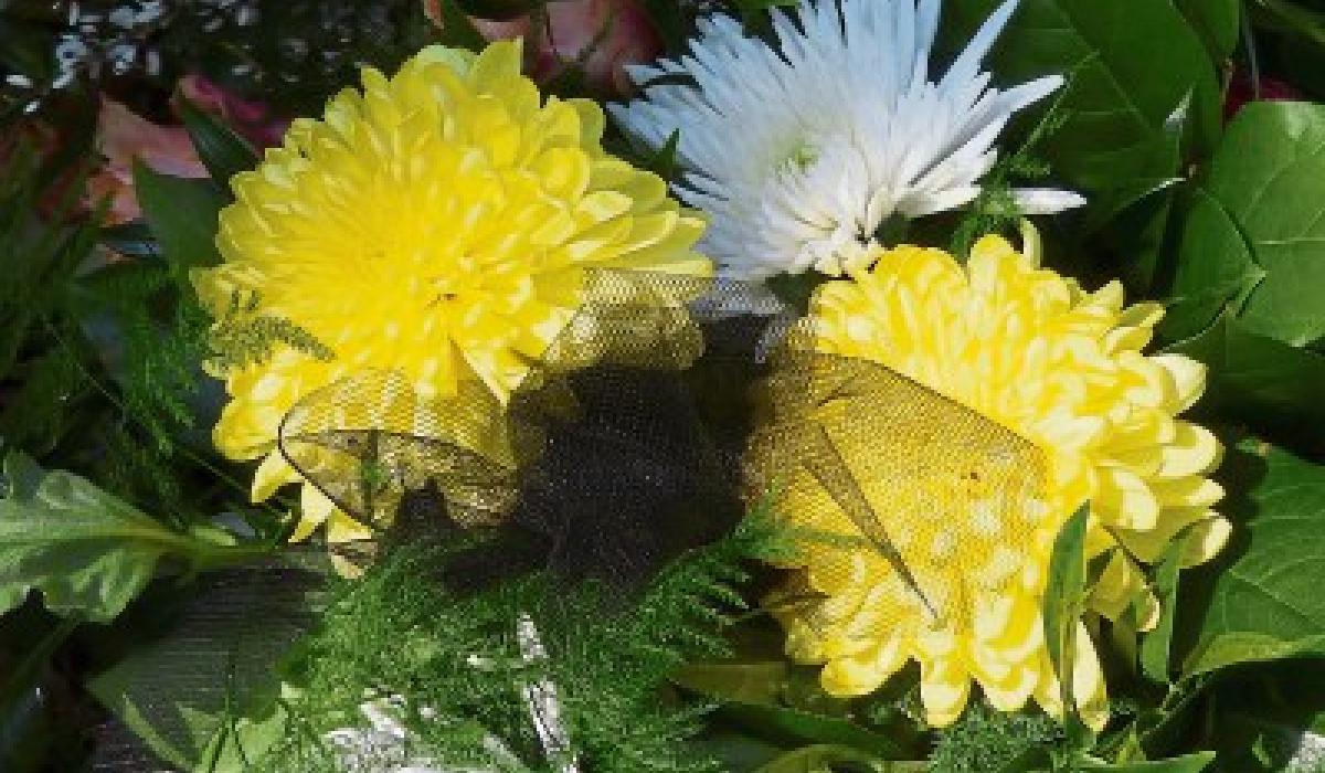 Apostle of the Saddle - Fr James Comerford 1849-1918 - Tipperary Live