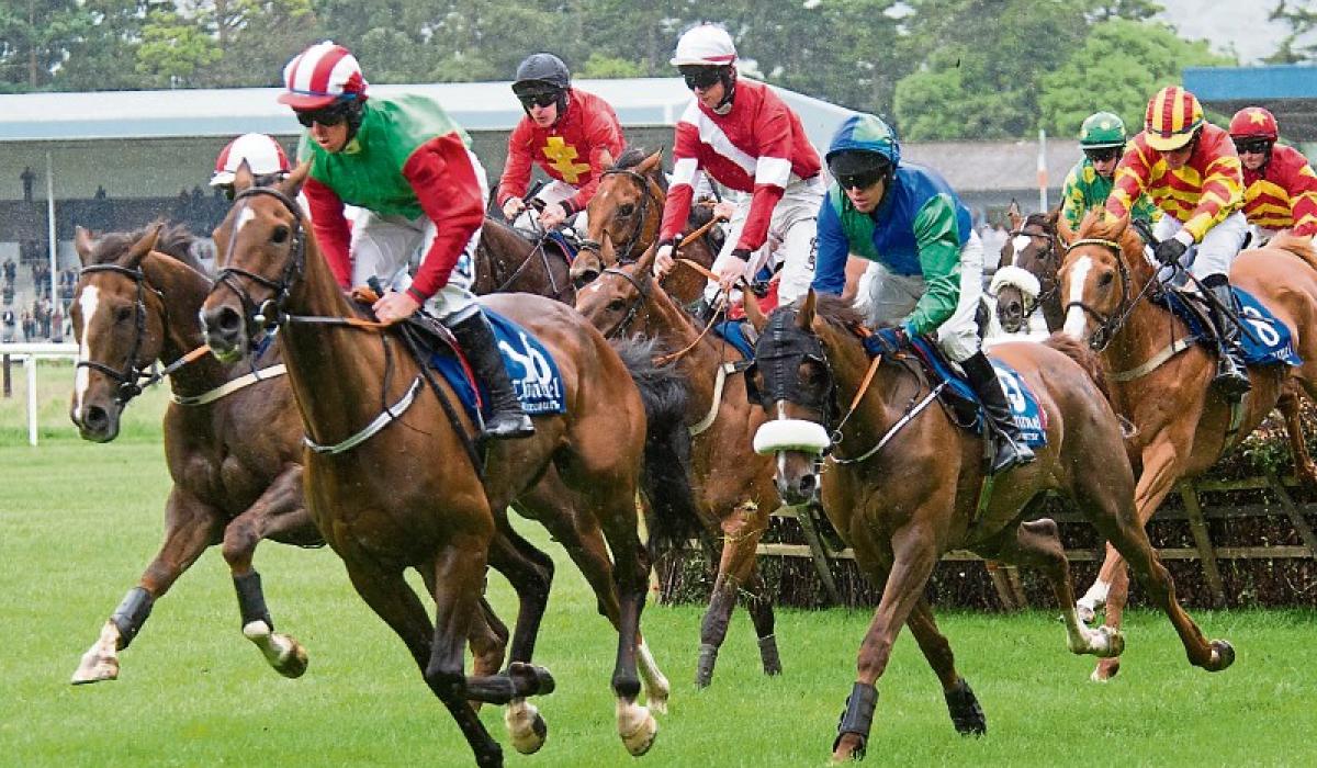 Top tips for today's racing at Clonmel - Tipperary Live