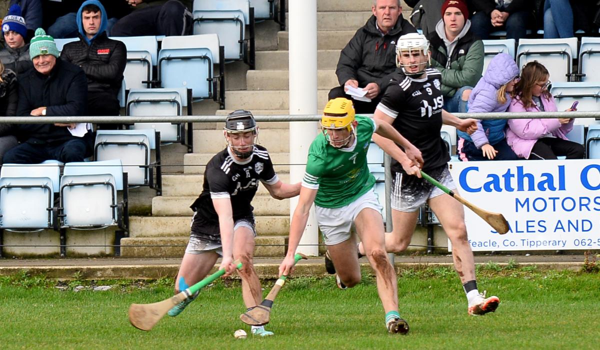 Two Carrick-on-Suir hurlers win top honours at South Tipperary GAA ...