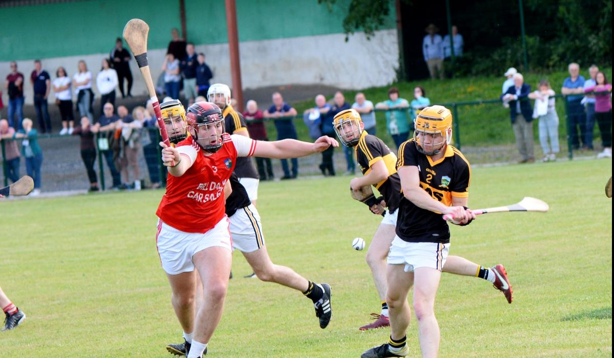 Strong finish secures Tipperary County Hurling League Division 5 title for Galtee Rovers ...