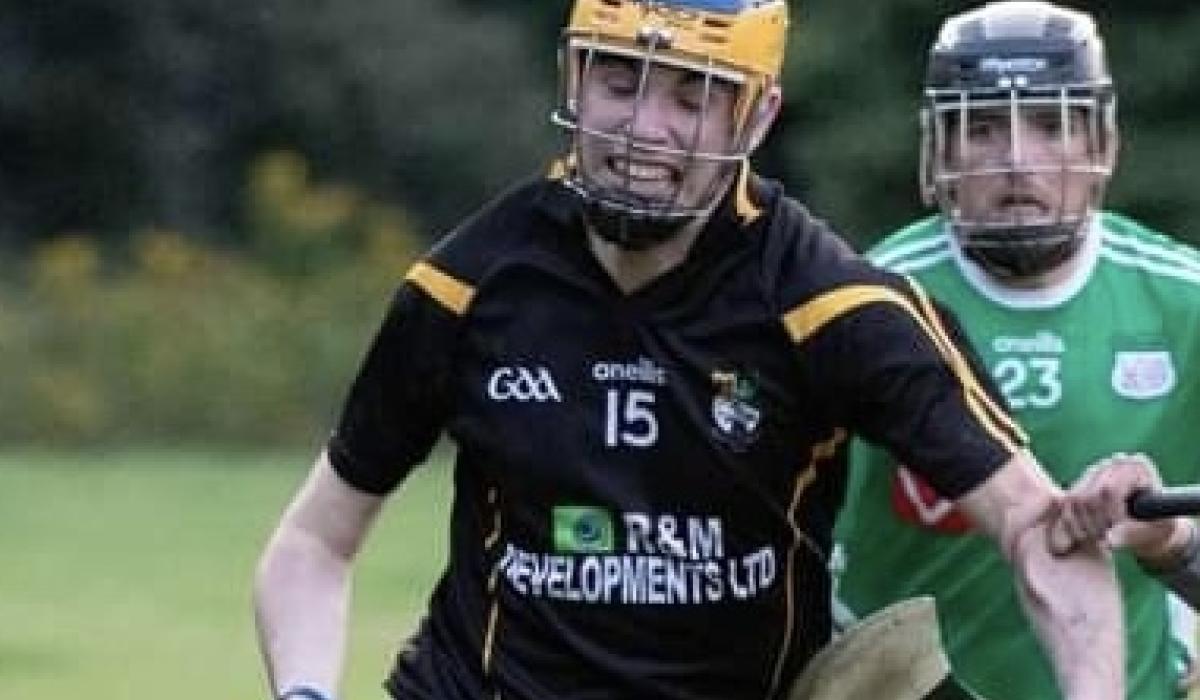 Gortnahoe continue to impress as they defeat Portroe to make semi ...