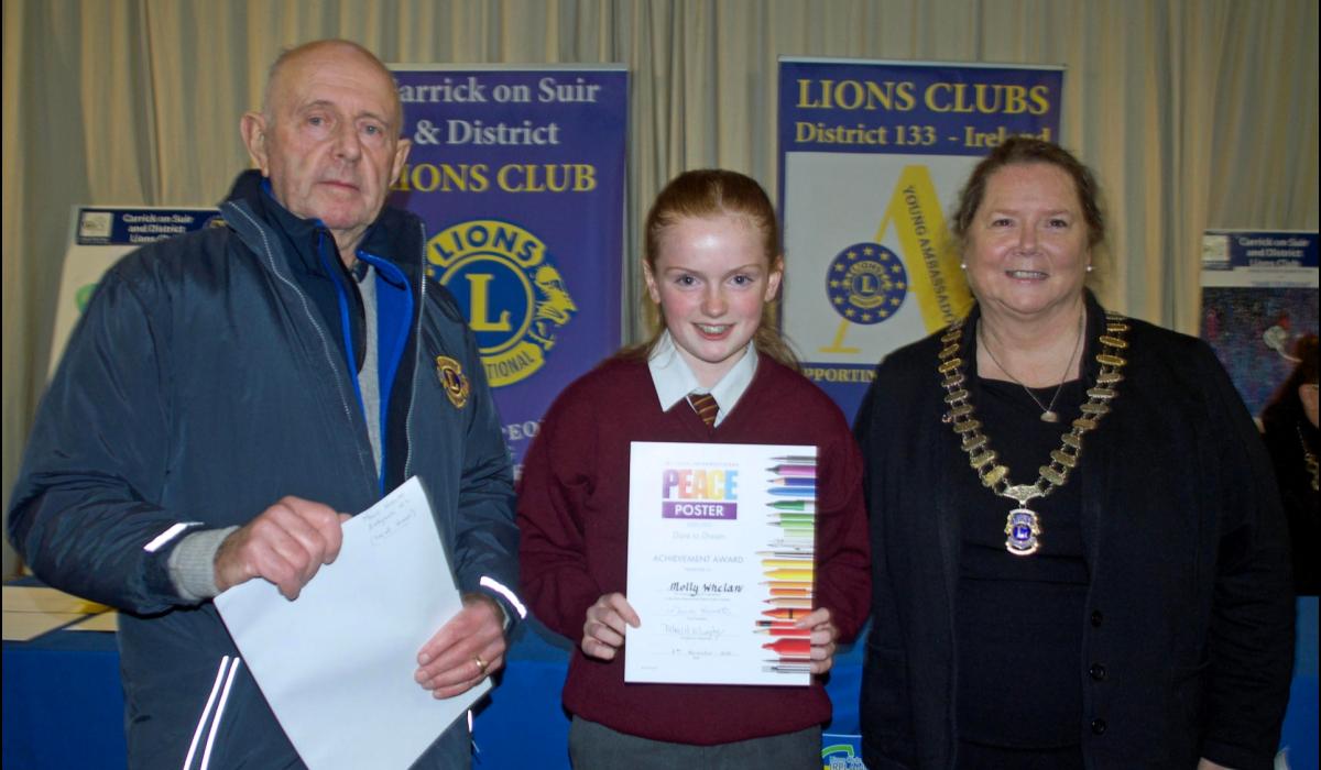Ballyneale NS student wins Carrick-on-Suir Lions Club Peace Poster ...